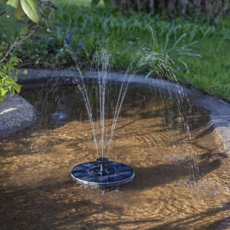 GUIDE: Plantering och skötsel av syrener | Land