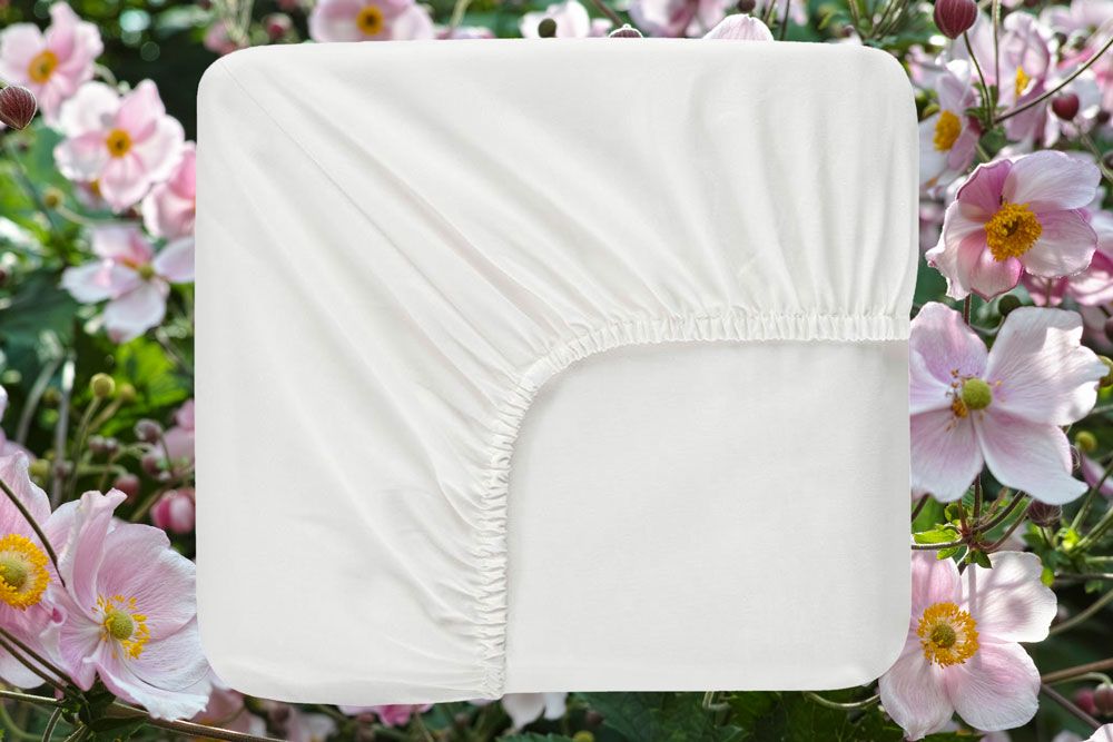 GUIDE: Plantering och skötsel av syrener | Land