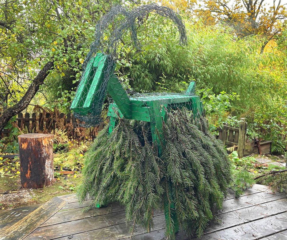 Bygg en julbock av granris | Land