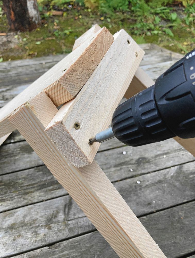 Bygg en julbock av granris | Land