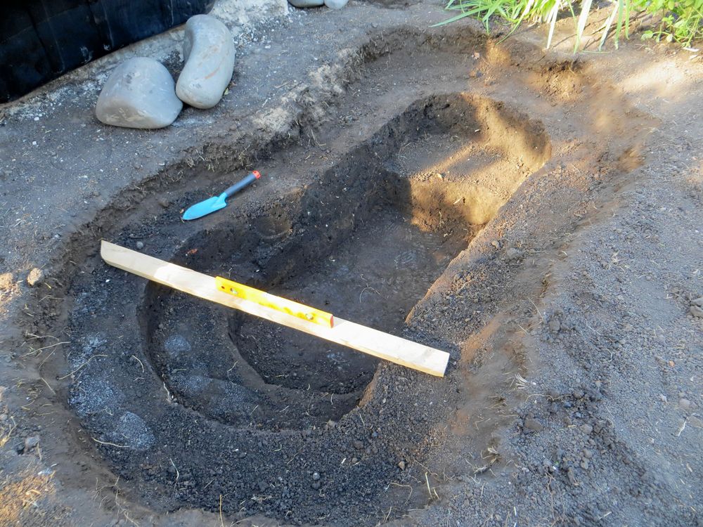 Bygg en damm i din trädgård – tips och råd | Land