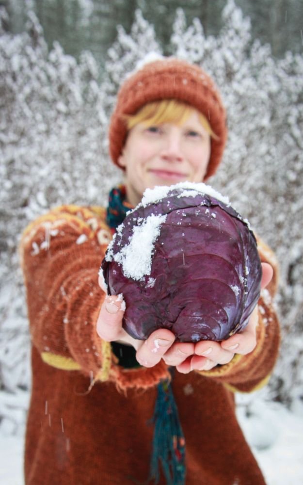Anne Sandlund är Lands Odlarvän 2025 | Land