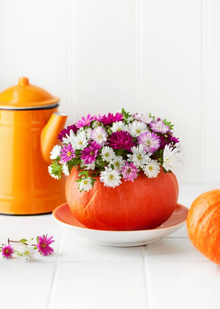 3 olika pyssel med pumpa | Land