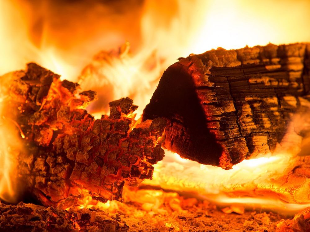 Välj rätt ved till brasan – 8 heta tips! | Land