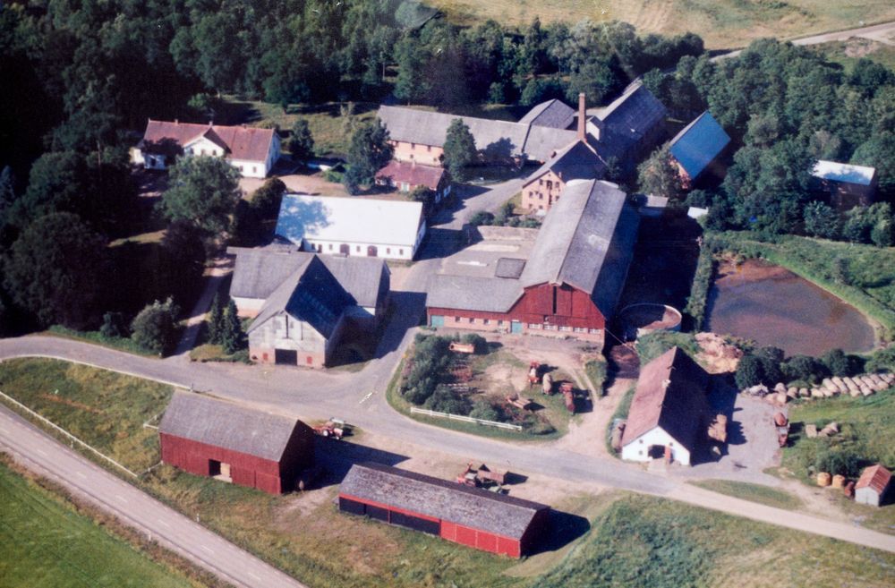 Barbara Ising på Hörlinge gård | Land