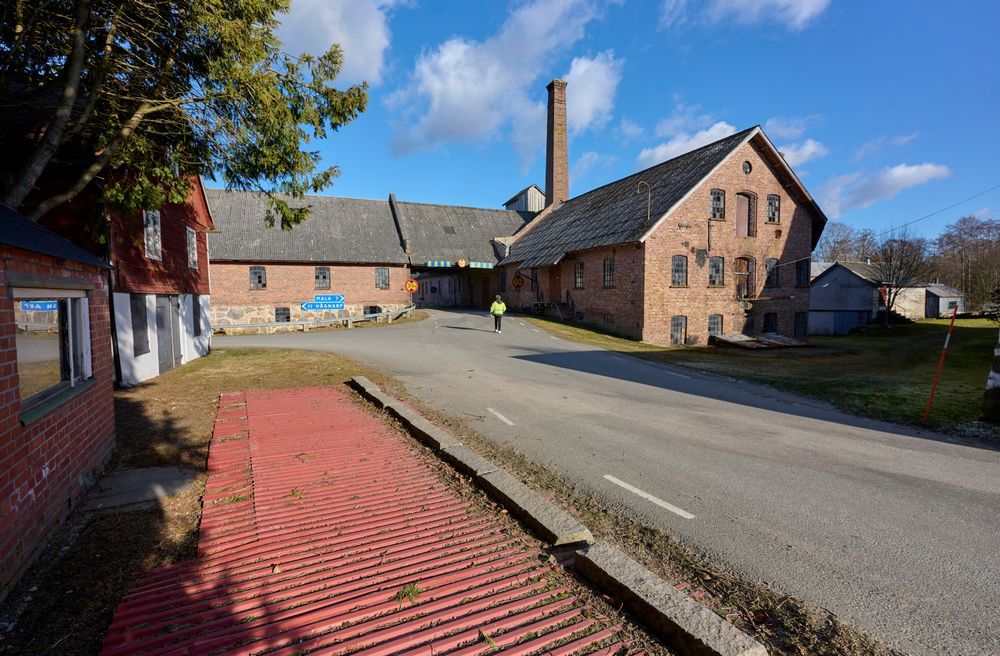 Barbara Ising på Hörlinge gård | Land